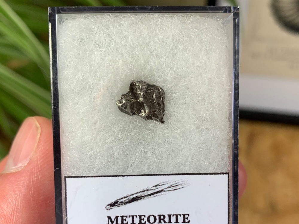Meteorites & Rock Samples - Shop