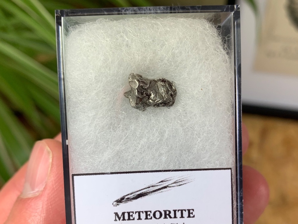 Meteorites & Rock Samples - Shop