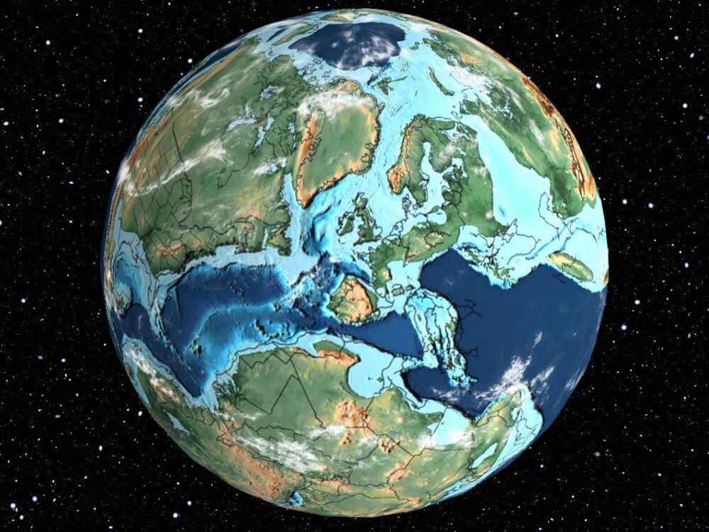 The Cretaceous Period