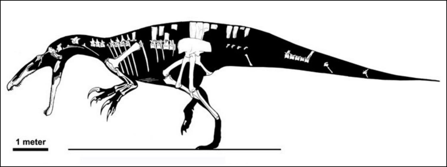 Suchomimus