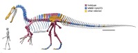 Suchomimus
