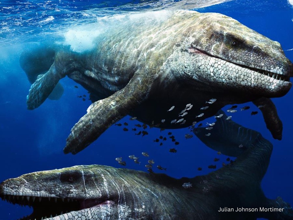 Mosasaur-info