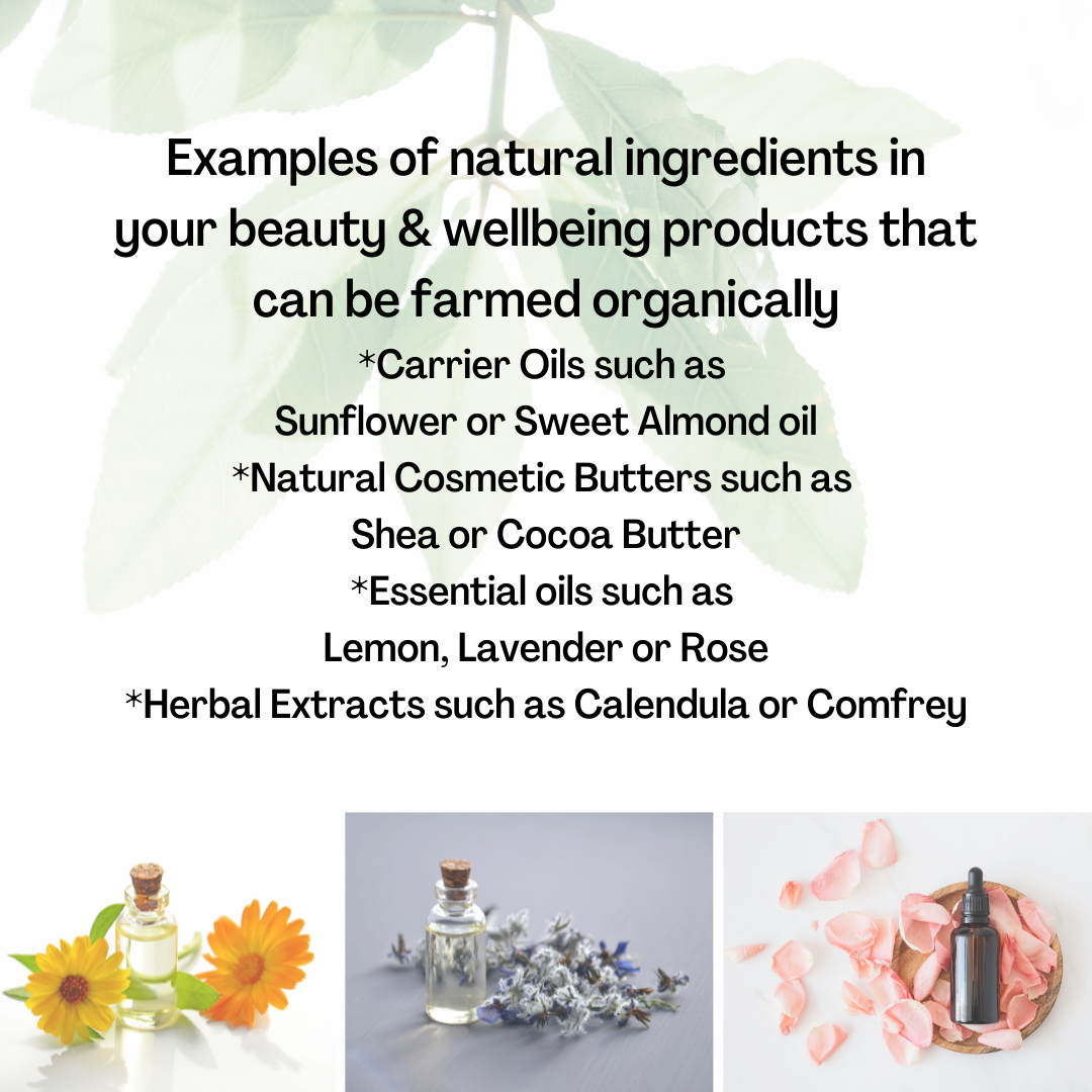 How to Choose Organic Beauty Products - Blog