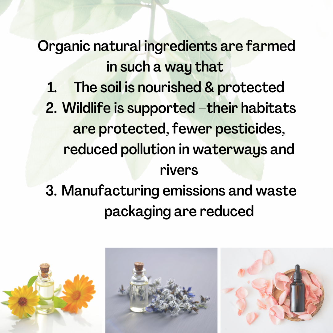 How to Choose Organic Beauty Products - Blog