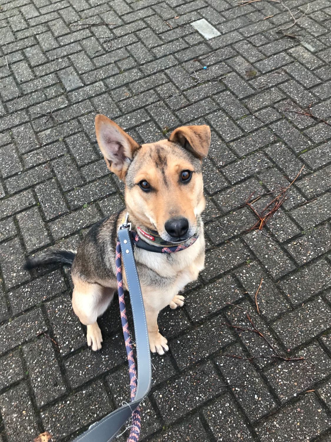 How to Start Practicing Lead Walks