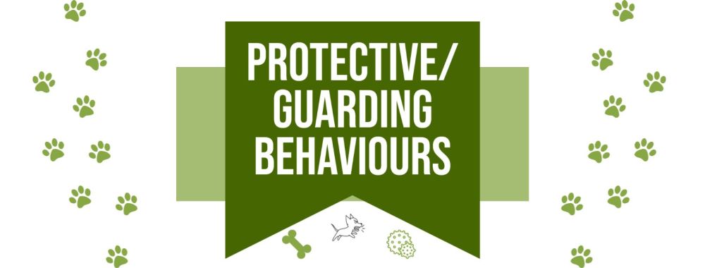 Protective/Guarding Behaviours