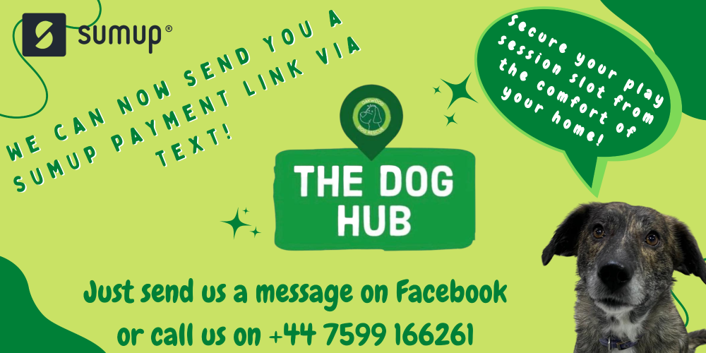 The Dog Hub