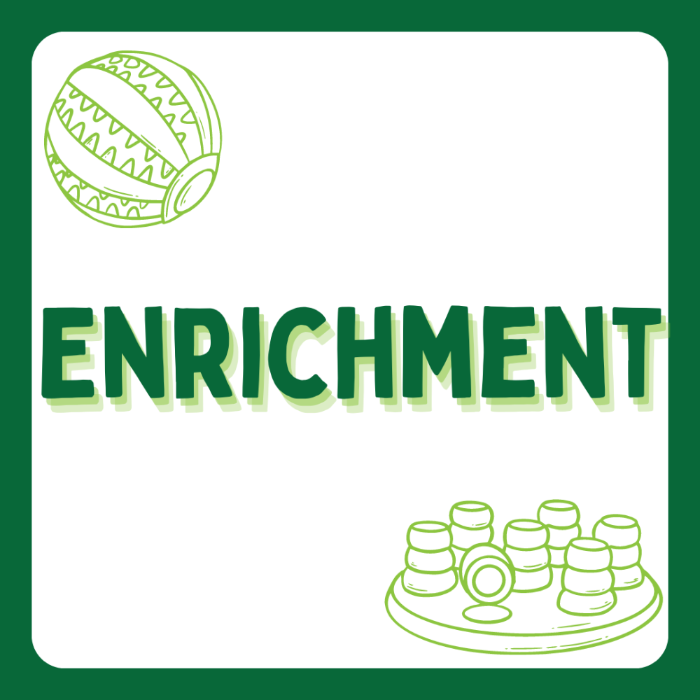 Enrichment Shop Enrichment Shop