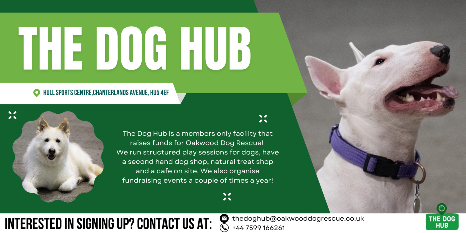 The Dog Hub