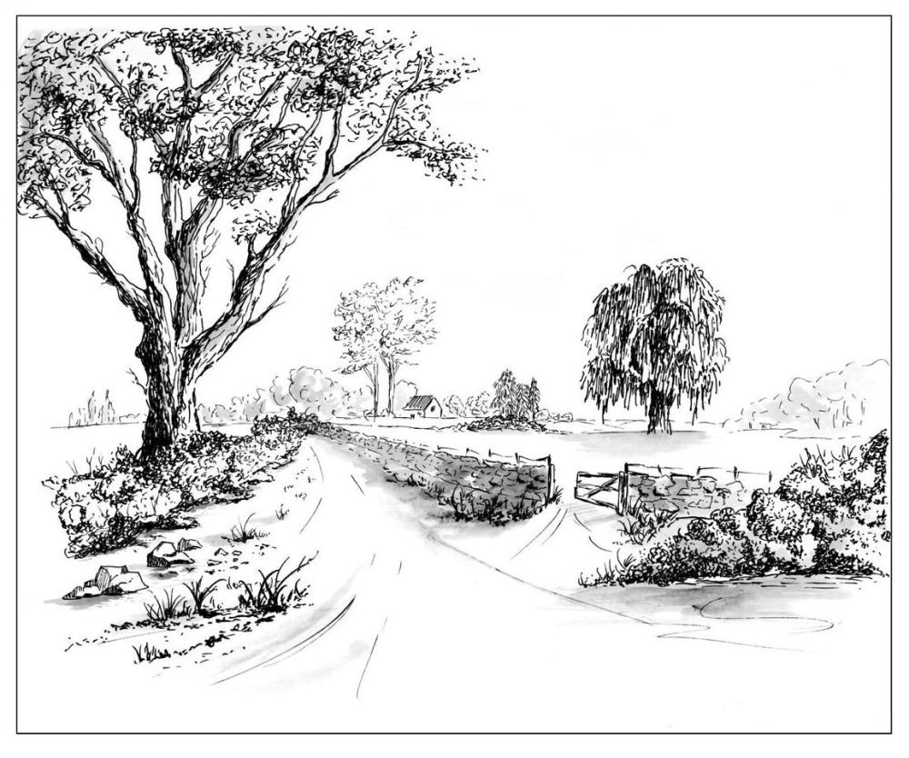 Pen and Ink (Line and wash)