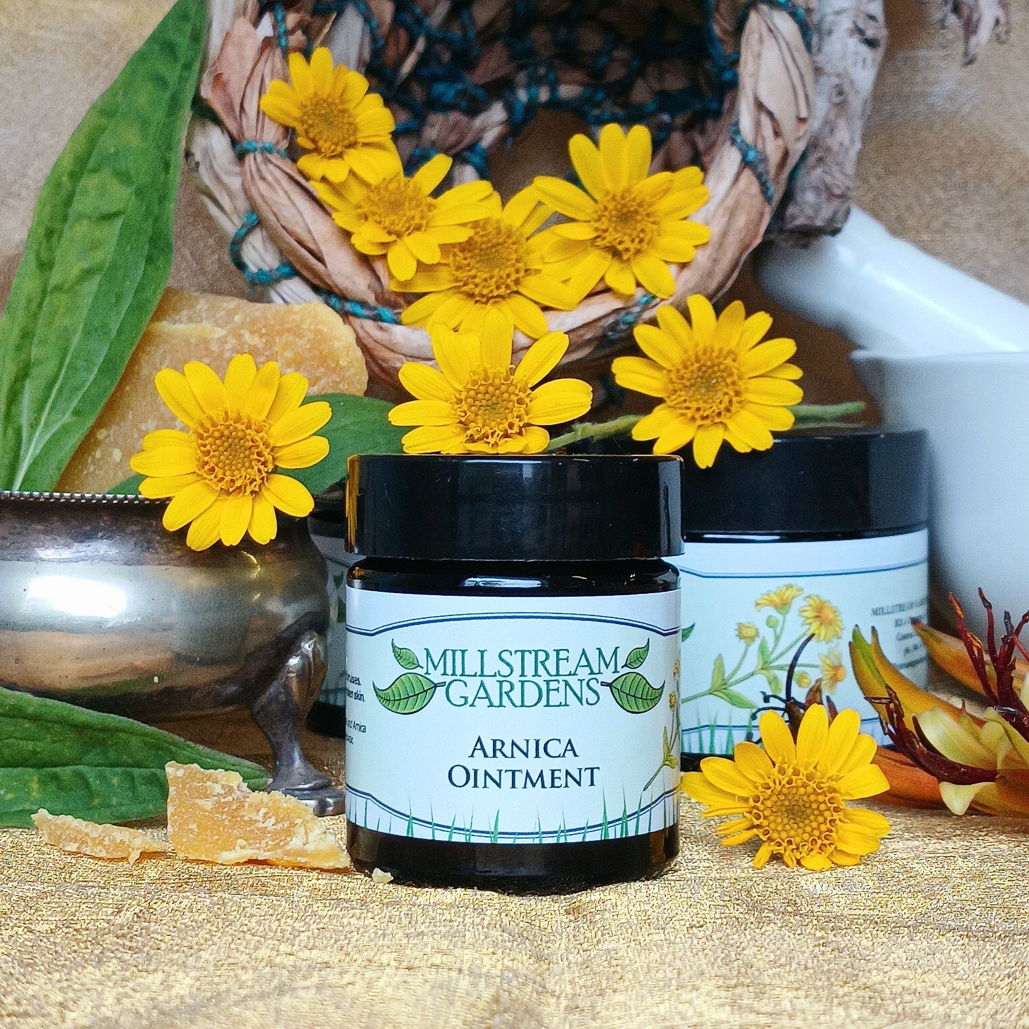 Aloe Vera Ointment | Millstream Gardens
