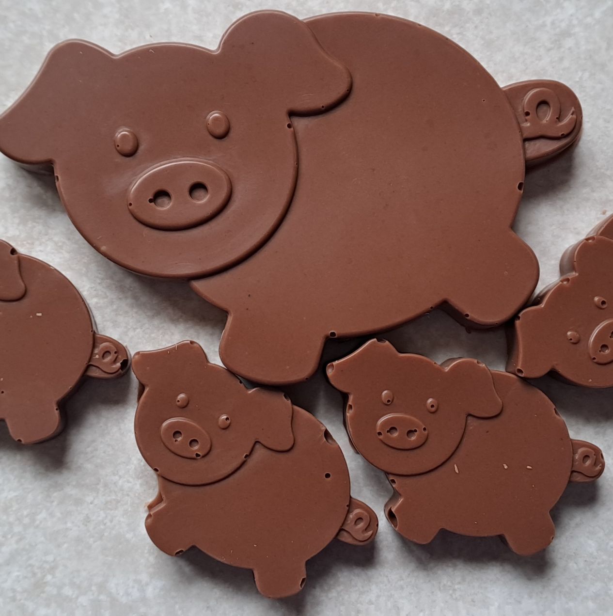 Caithness Chocolate | Chocolate Pigs
