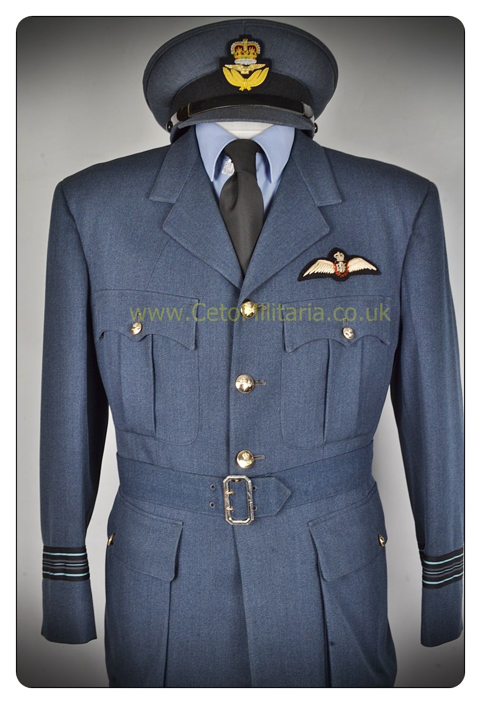 RAF No1 Sqn.Ldr (42/43C 34.5W) Pilot