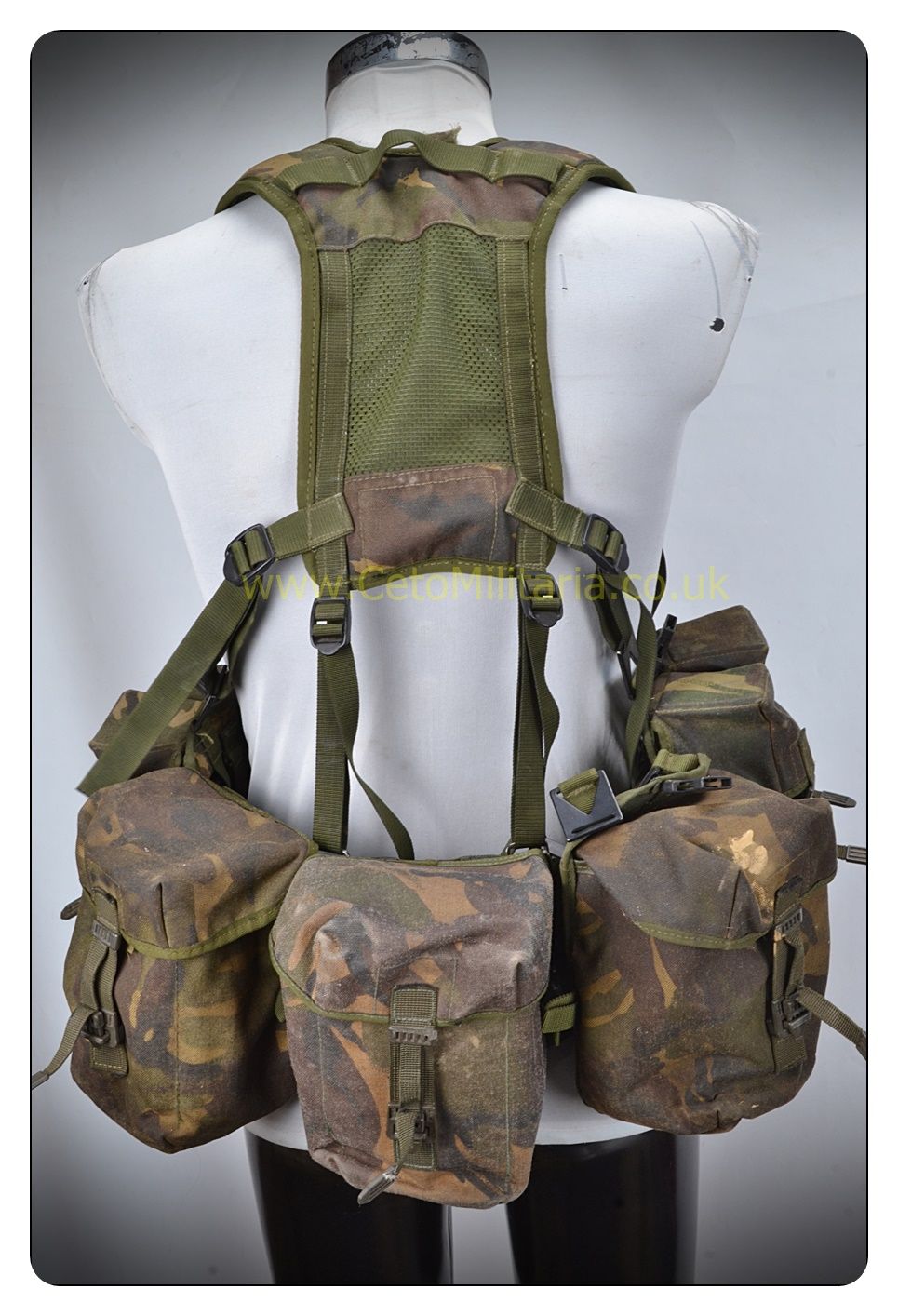 DPM PLCE Webbing Set