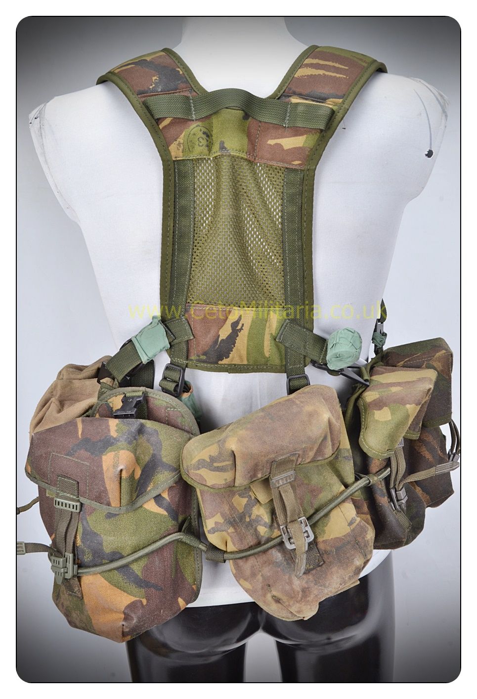 DPM PLCE Webbing Set