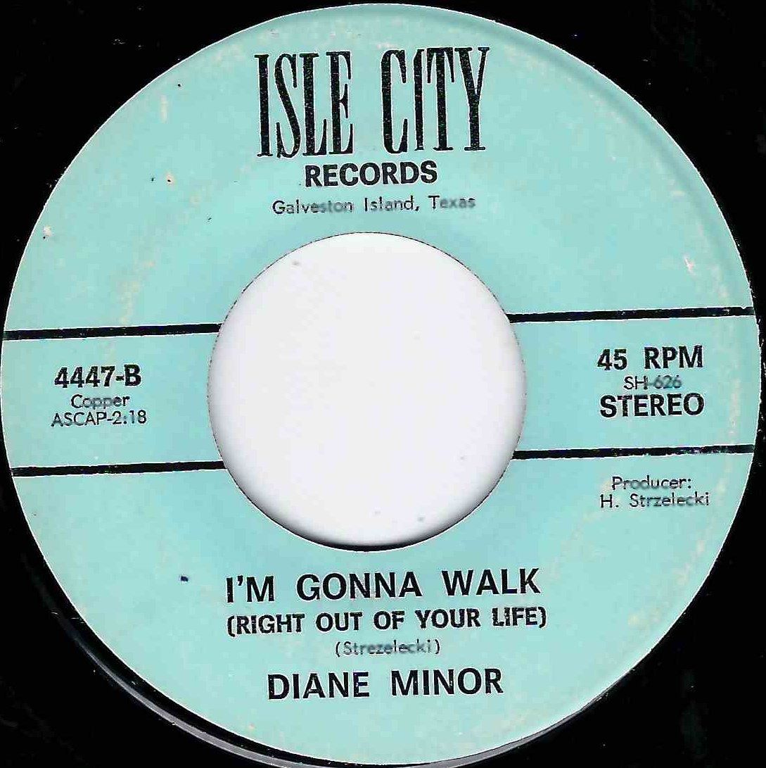DIANE MINOR - I'M GONNA WALK