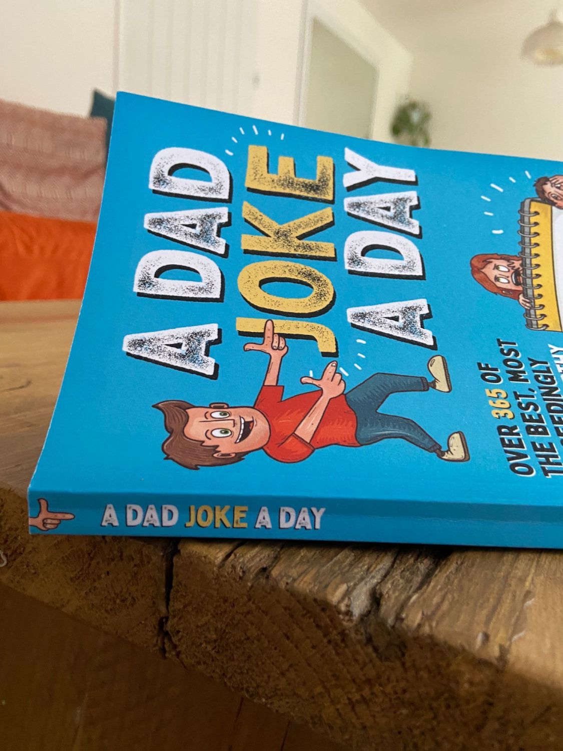 Funny Father's Day Gift Idea: A Dad Joke A Day Book