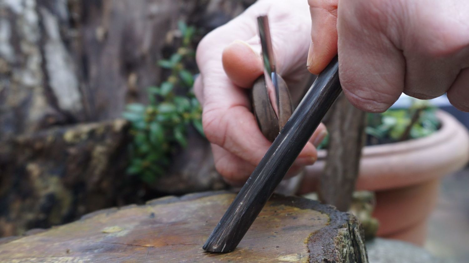 SHARPENING - Testing the Sharpness of your Blade