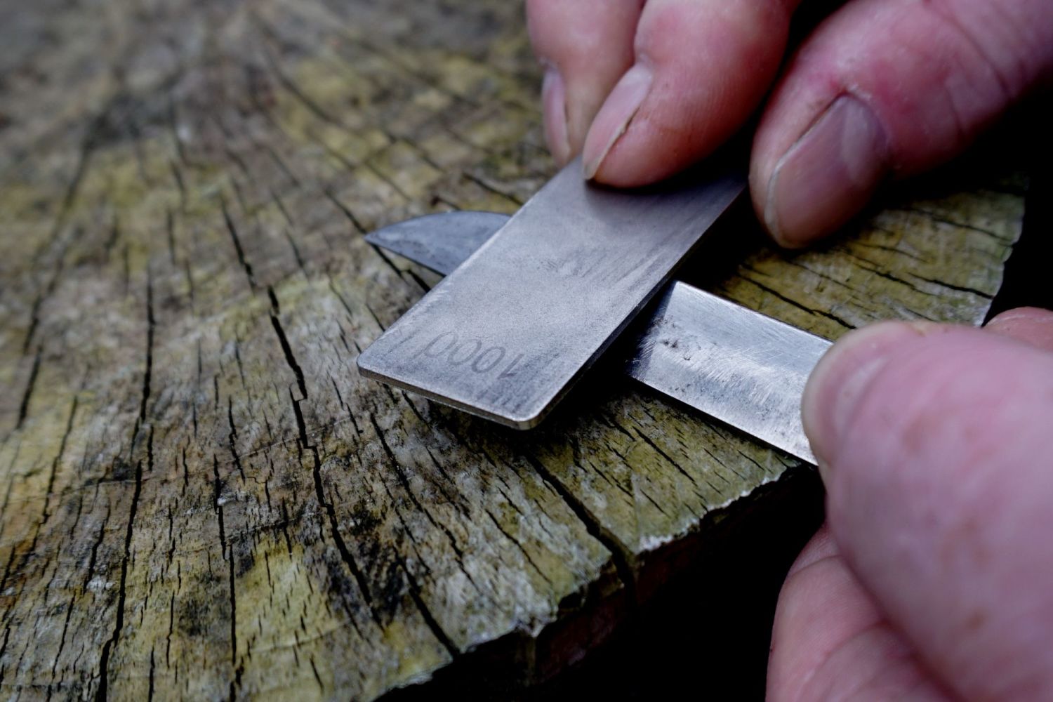 SHARPENING - Razor S.H.A.R.K. Sharpening