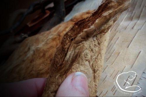 Museum Exhibition Quality - XL NATURAL AMADOU SHEET - Rare Piece