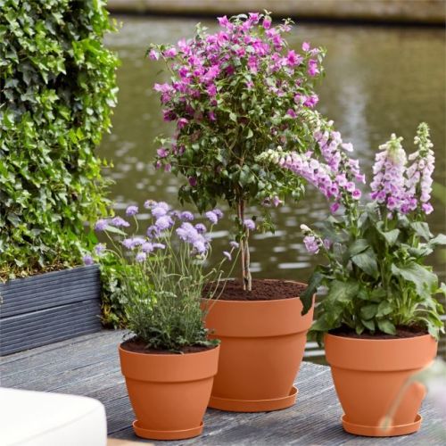 Elho Pots for Sale | Indoor & Outdoor | Huge Selection