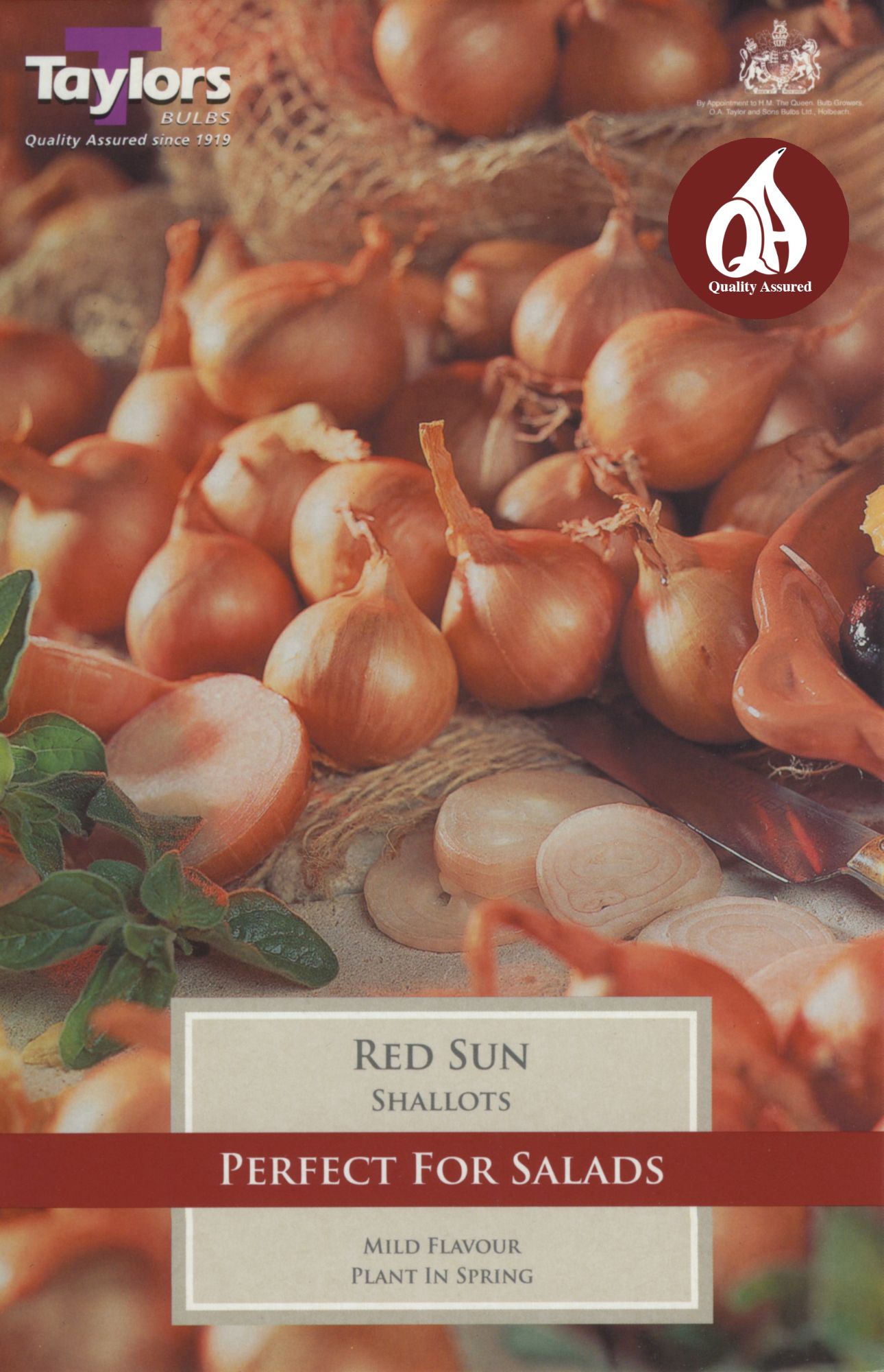 Shallot Red Sun 12 | Grow Your Own | Drinagh Garden Centre