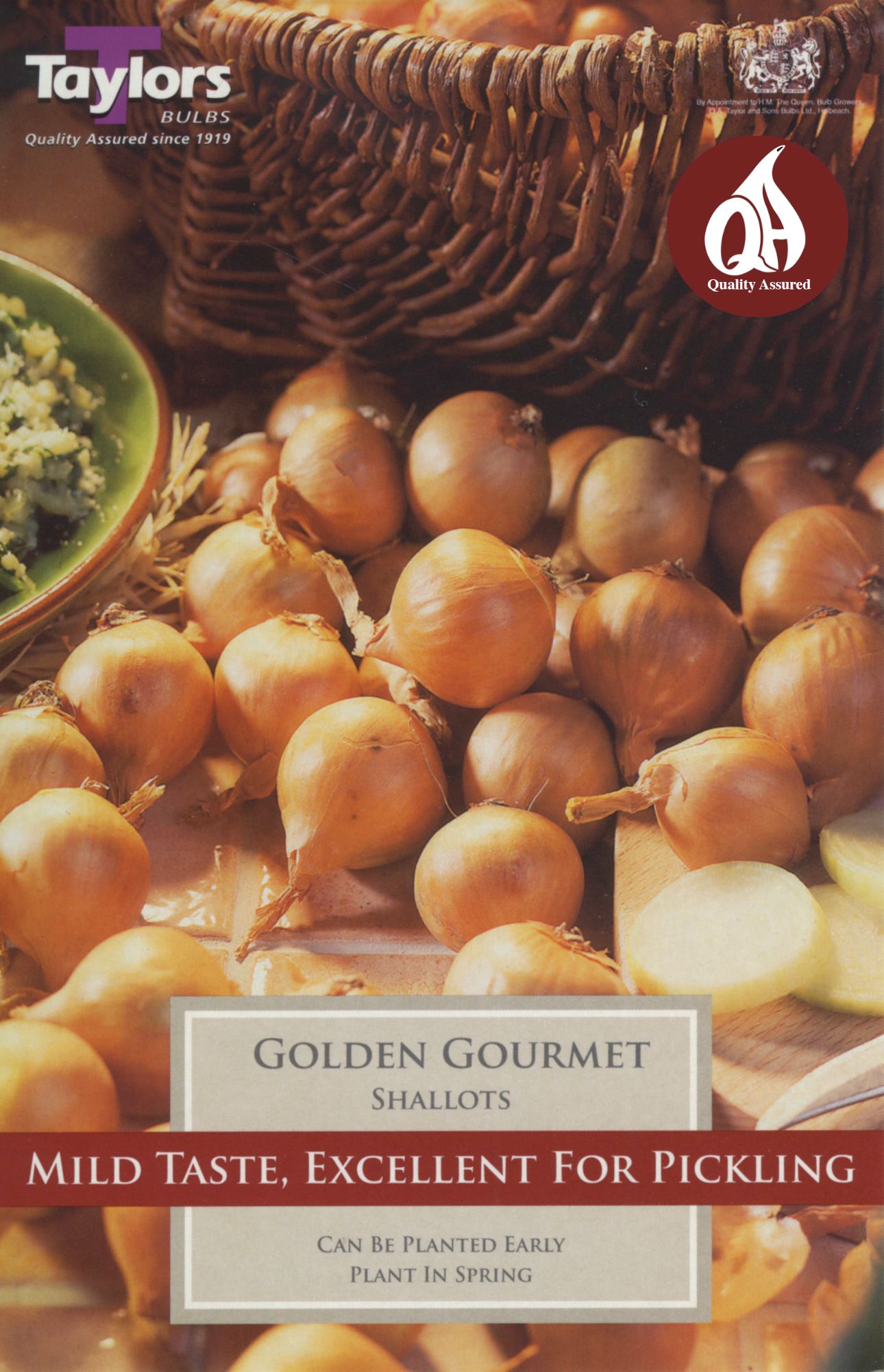 Shallot Golden Gourmet 12 | Grow Your Own | Drinagh Garden Centre