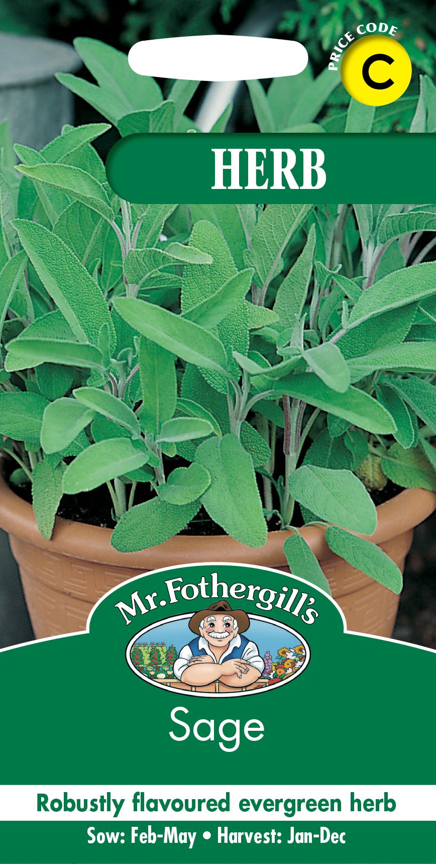 Sage | Vegetable & Herb Seeds | Drinagh Garden Centre