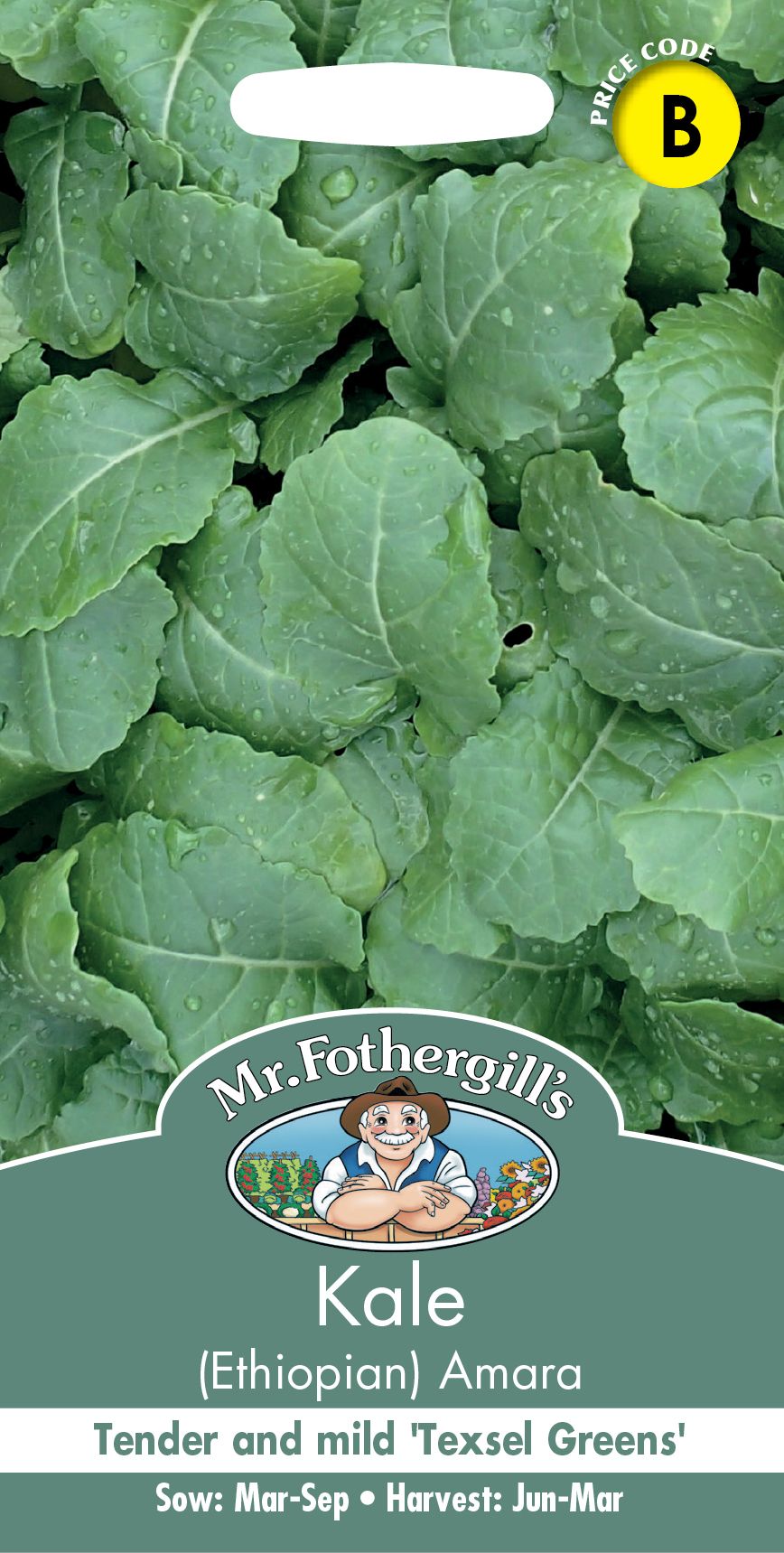 Kale (Ethiopian) Amara| Vegetable & Herb Seeds | Drinagh Garden Centre