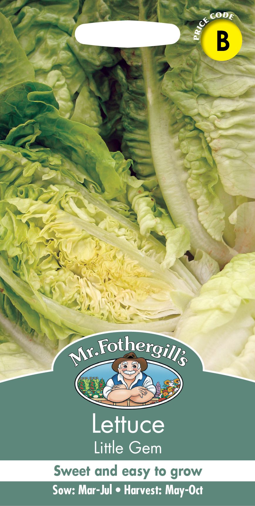 LETTUCE Little Gem | Vegetable & Herb Seeds | Drinagh Garden Centre