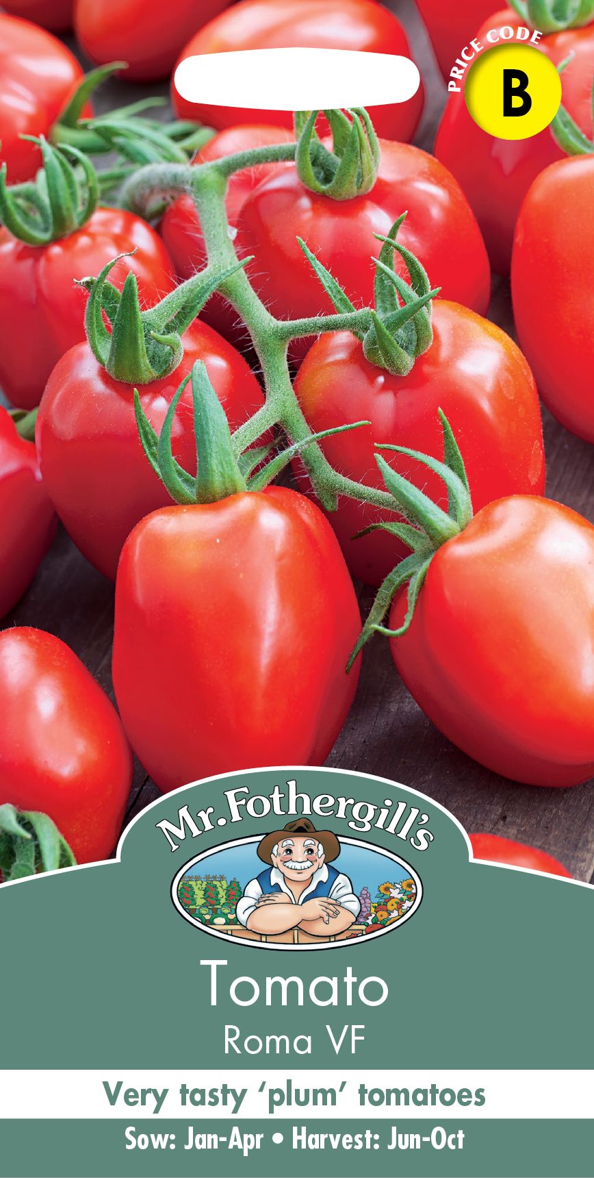 TOMATO Roma VF | Vegetable & Herb Seeds | Drinagh Garden Centre
