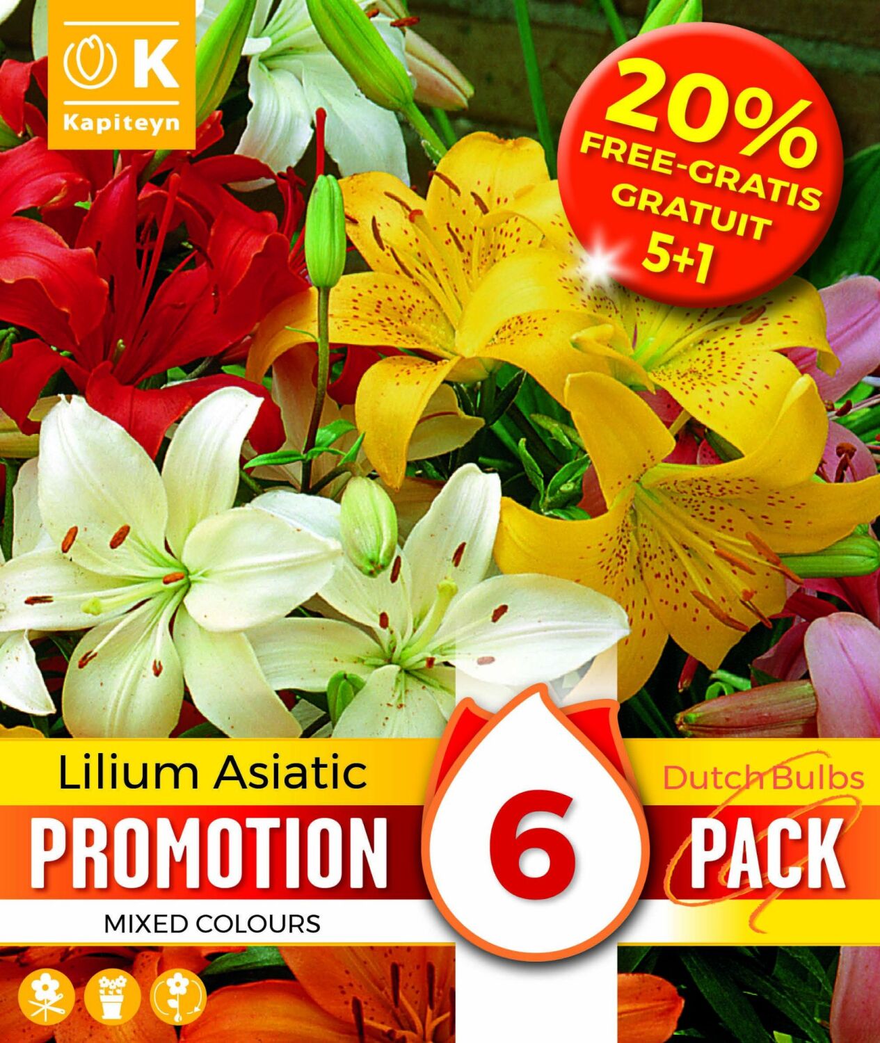 Promo 20% Lilium Asiatic Mixed Colours | Summer Flower Bulbs | Drinagh ...
