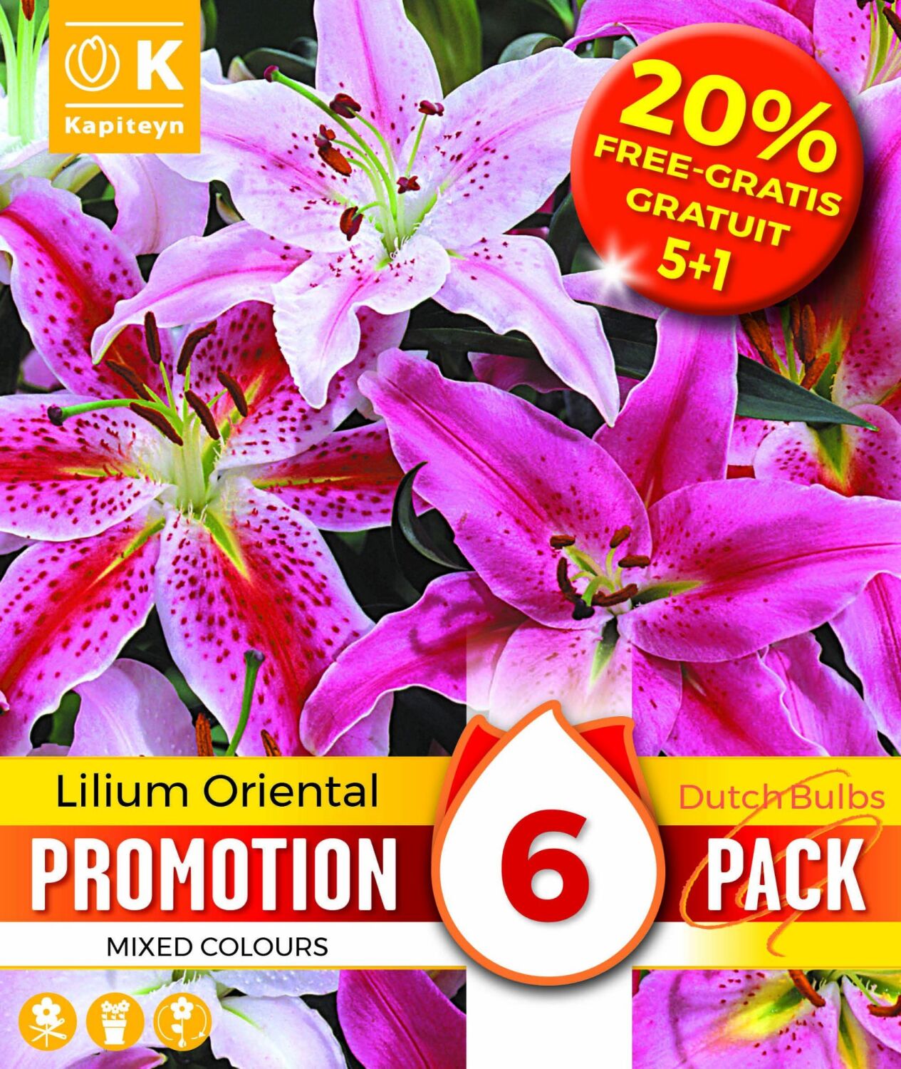 Promo 20% Lilium Orianetal Mixed Colours | Summer Flower Bulbs ...