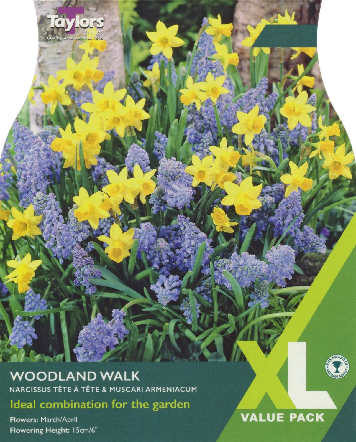 Narcissus Woodland Walk | Spring Flower Bulbs | Drinagh Garden Centre