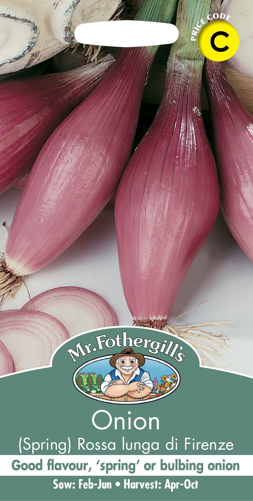 Onion Rossa Lunga di Firenze | Vegetable & Herb Seeds | Drinagh Garden ...