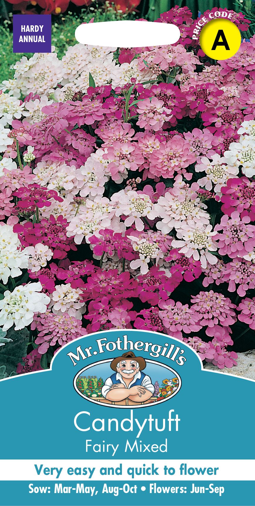 Candytuft - Fairy Mixed| Flower Seeds | Drinagh Garden Centre