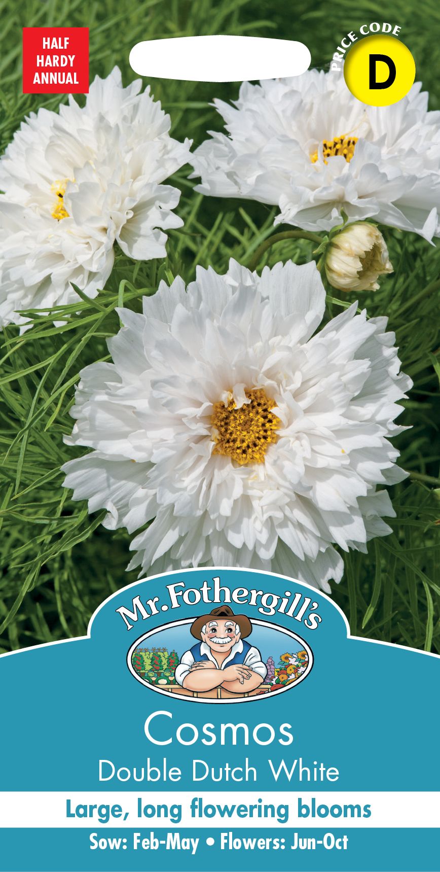 Cosmos Double Dutch White | Flower Seeds | Drinagh Garden Centre