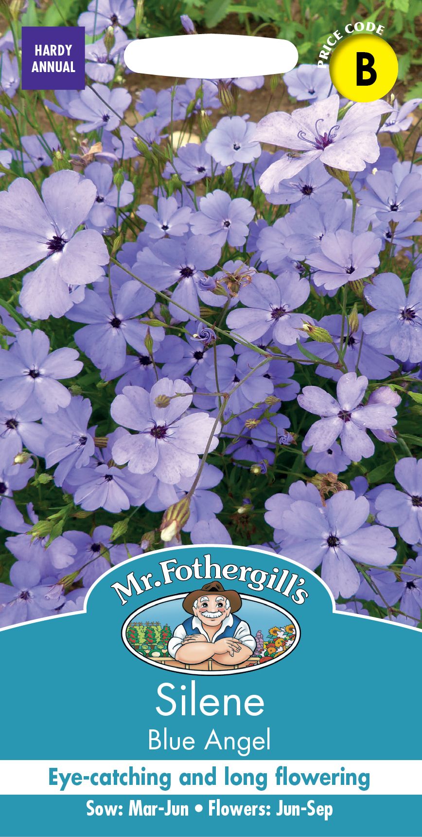 Silene Blue Angel | Flower Seeds | Drinagh Garden Centre