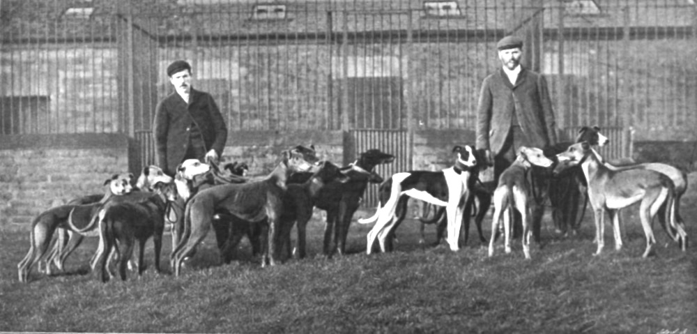 Greyhound Racing - Quality Antique Prints, Periodicals, Engravings for Sale