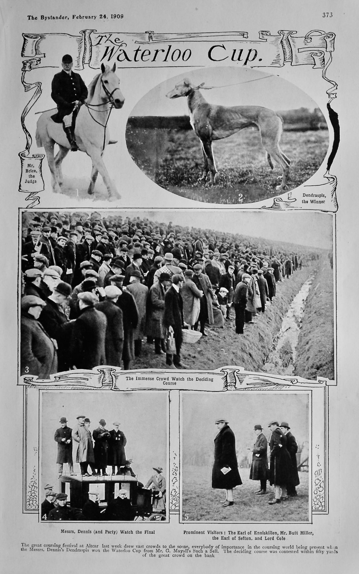 The Waterloo Cup 1909.