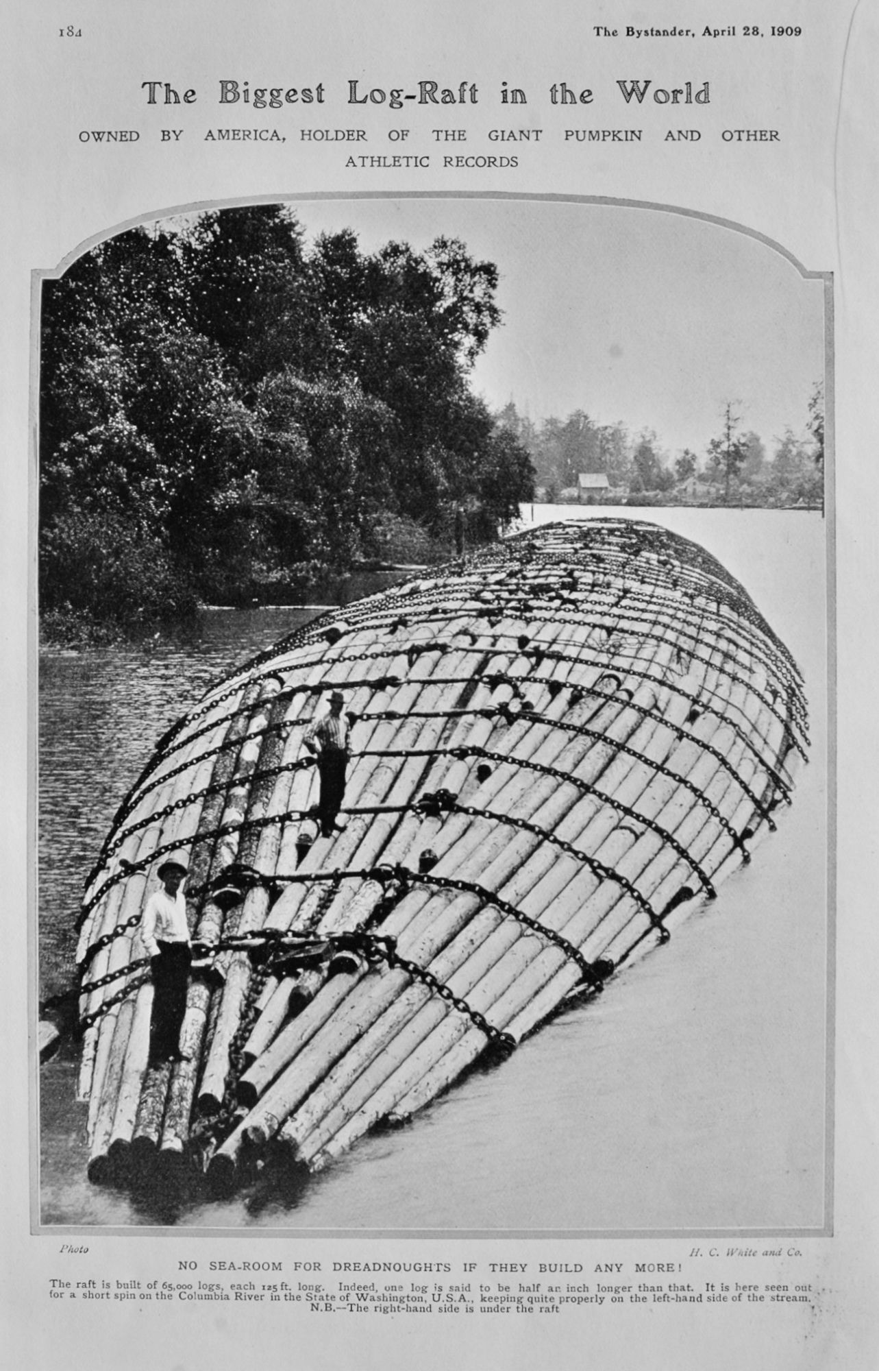 The Biggest Log-Raft in the World. 1909.