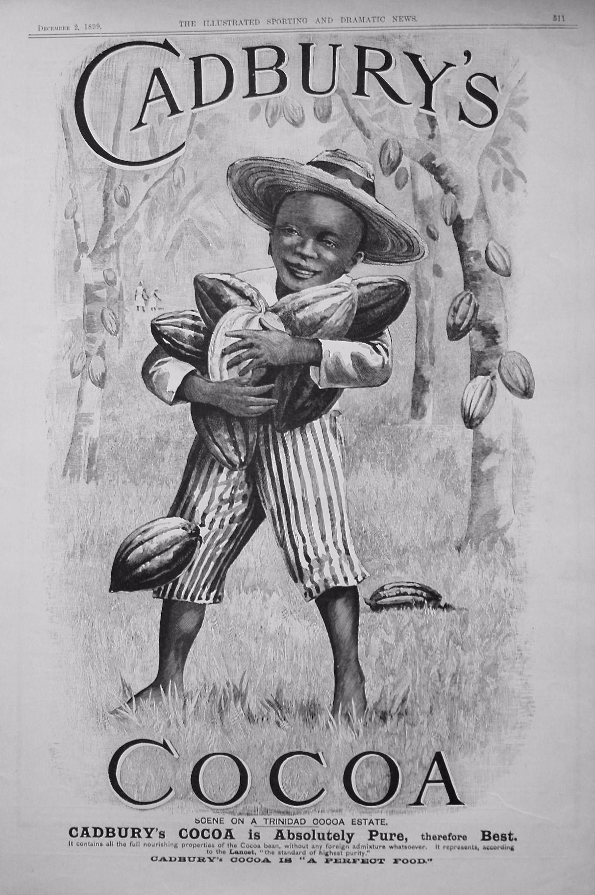 Cadbury's Cocoa. 1899