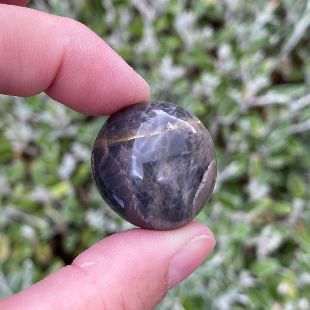 ** New Products ** - Shop