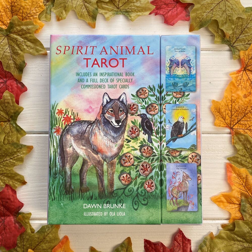 Tarot Cards ~ Oracle Decks ~ Accessories - Shop