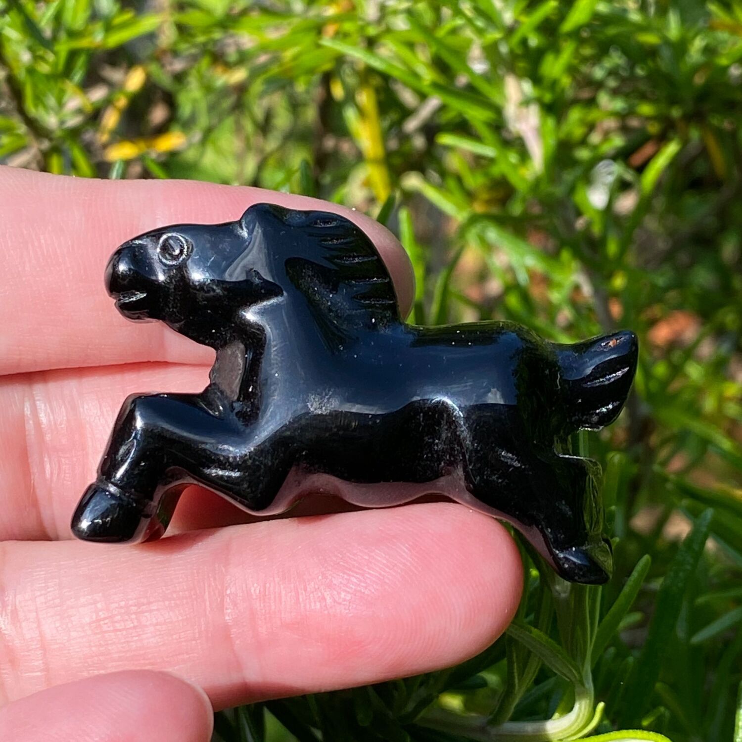 ** New Products ** - Shop