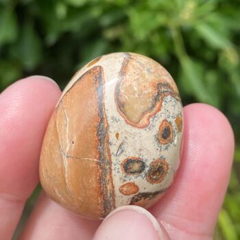 ** New Products ** - Shop - Page 2