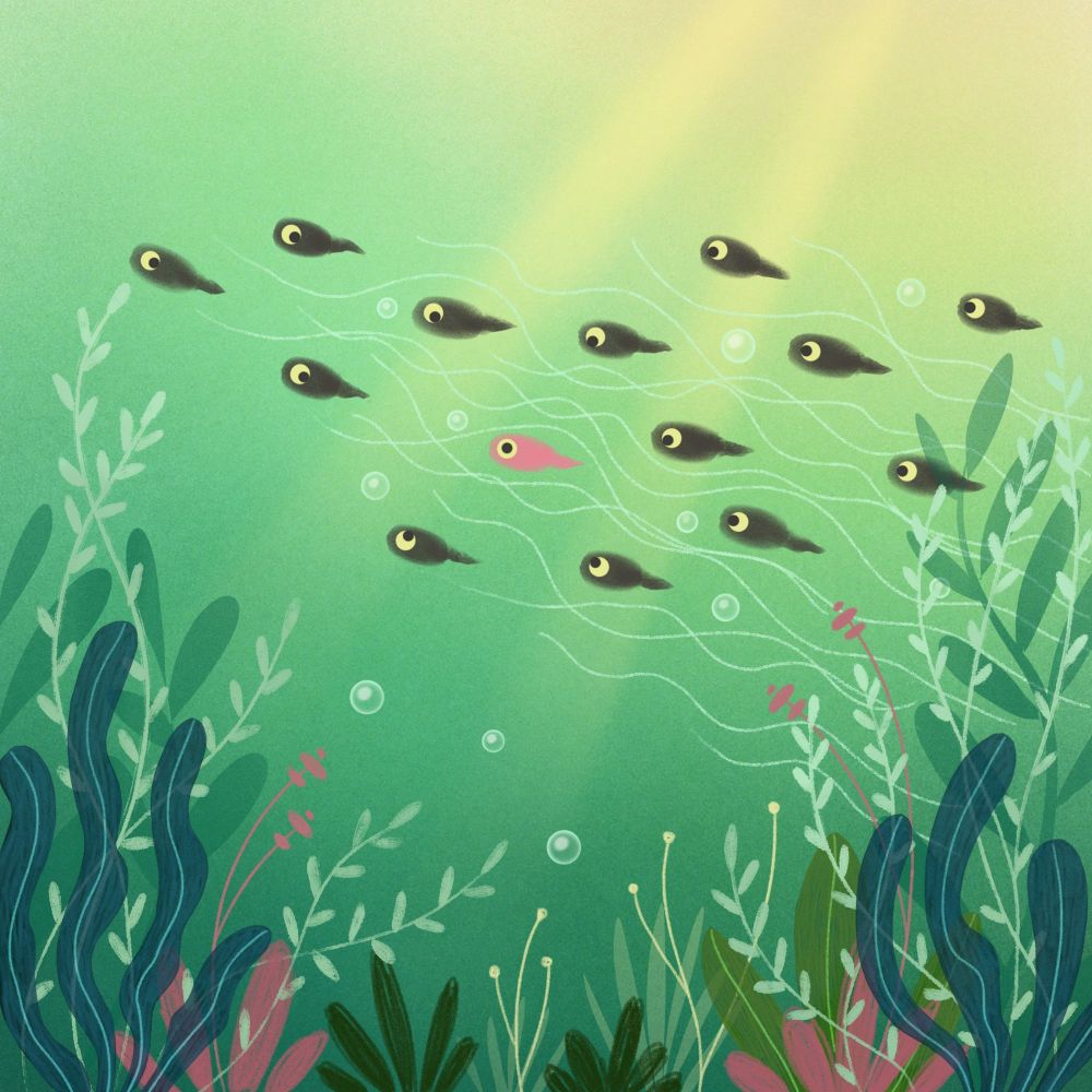 Portfolio of Illustrator Emma Allen