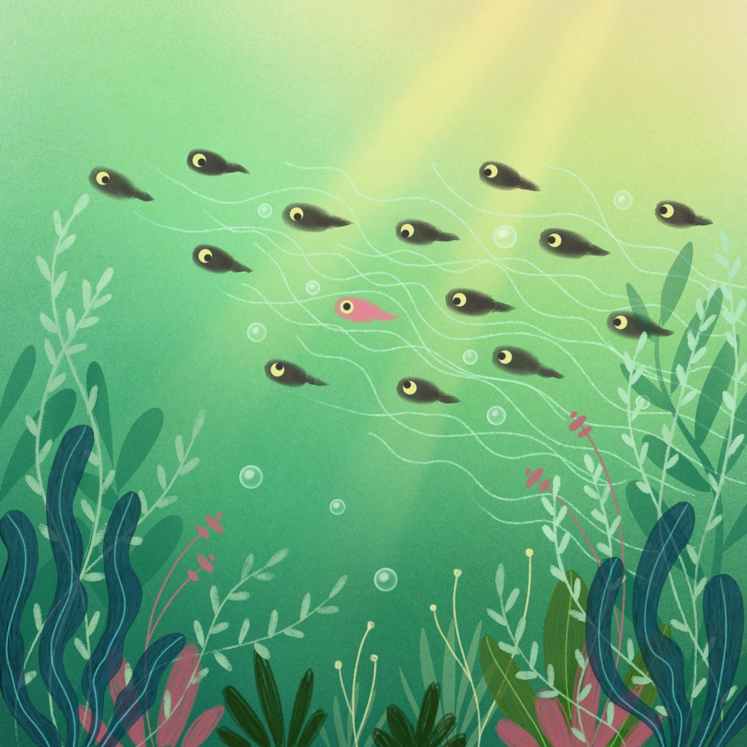 Portfolio of Illustrator Emma Allen