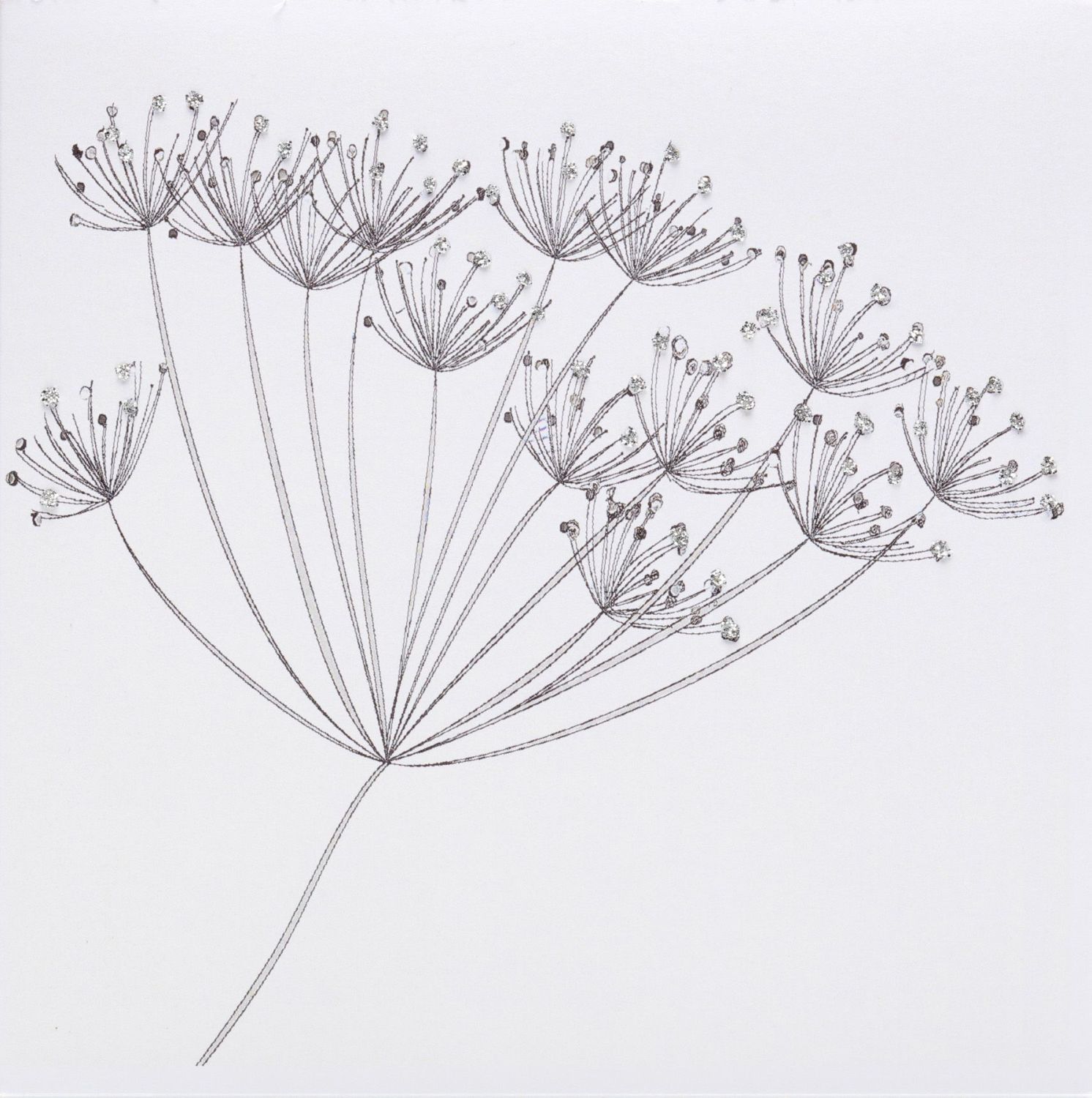cow-parsley-mono-25w