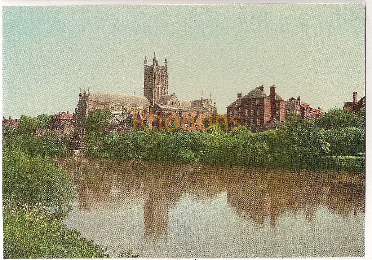 Worcester Cathedral From The River | Collectable Postcard Views